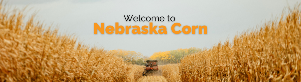 Nebraska Corn
